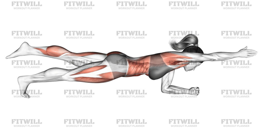 Front Plank With Arm And Leg Lift: Exercise Guide, Video, Techniques ...