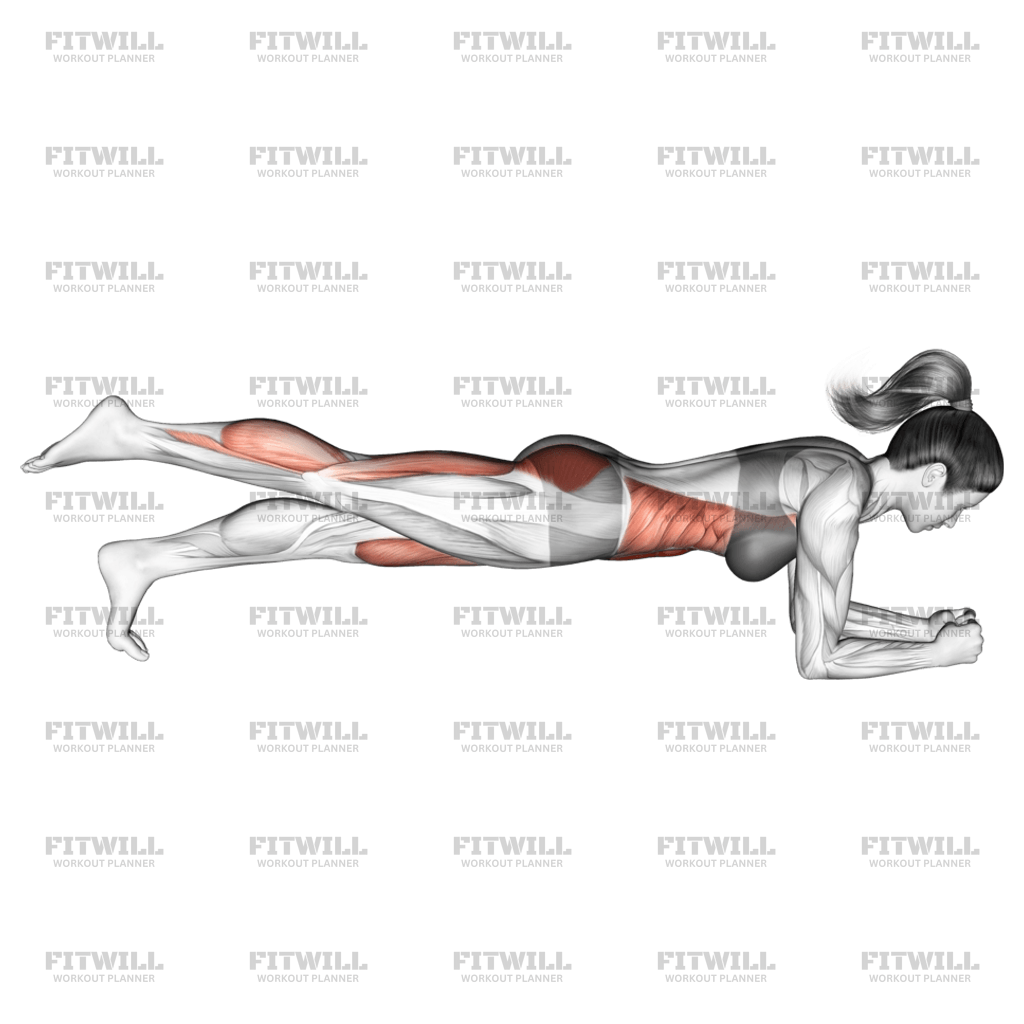 Front Plank With Leg Lift: Exercise Guide, Video, Techniques, Benefits ...