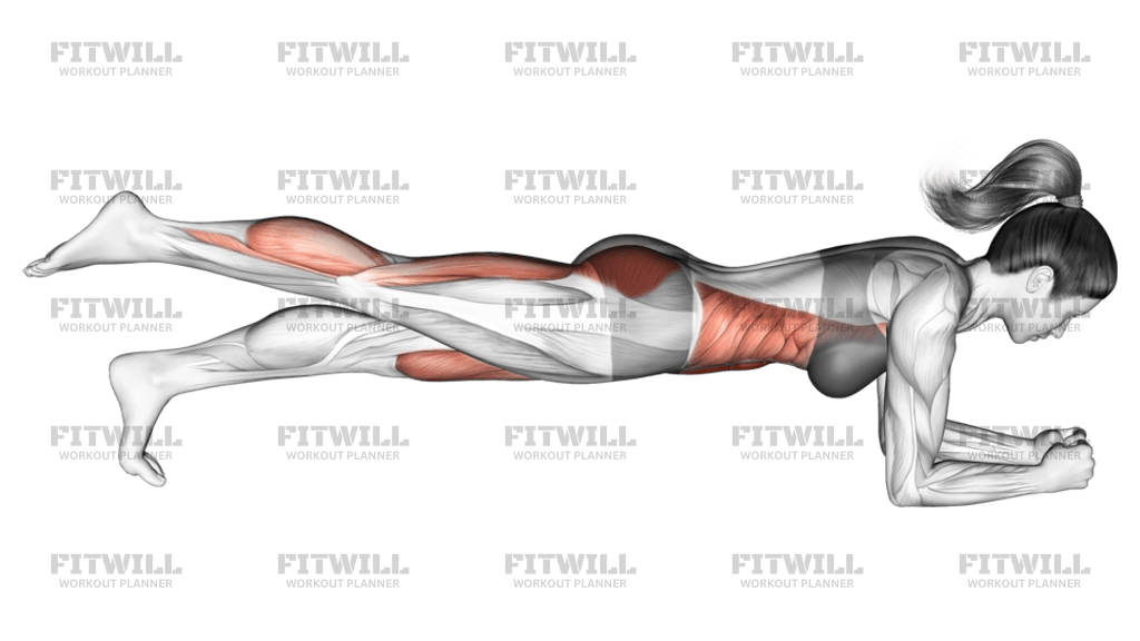 Front Plank With Leg Lift: Exercise Video | Fitwill