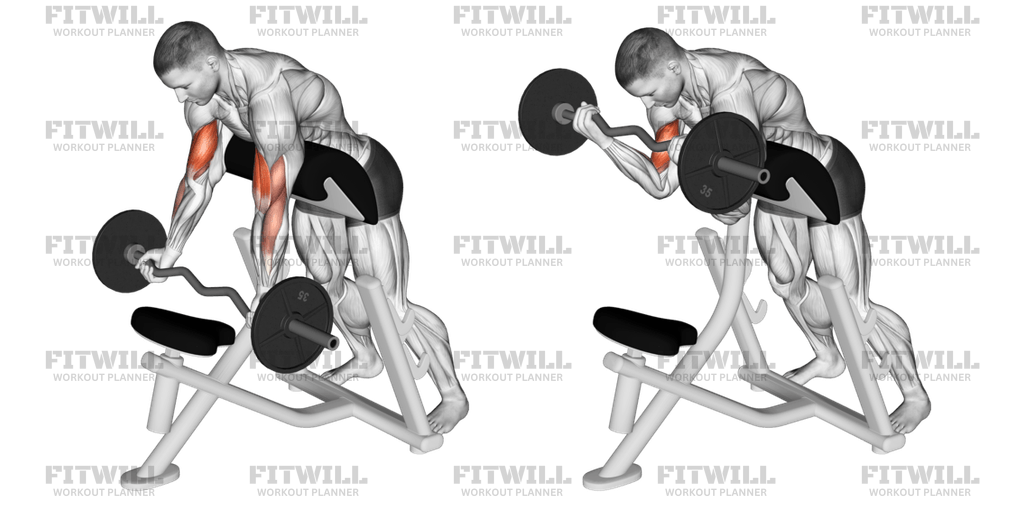 EZ-Barbell Standing Preacher Curl: Exercise Guide, Video, Techniques ...