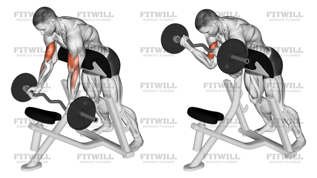 EZ-Barbell Standing Preacher Curl: Exercise Guide, Video, Techniques, Benefits, How to, Muscles ...