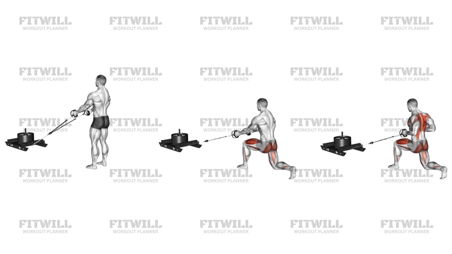 Power Sled Rear Lunge Row: Exercise Guide, Techniques, Benefits, How to ...