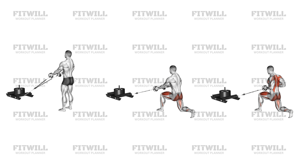 Power Sled Rear Lunge Row: Exercise Guide, Techniques, Benefits, How to ...