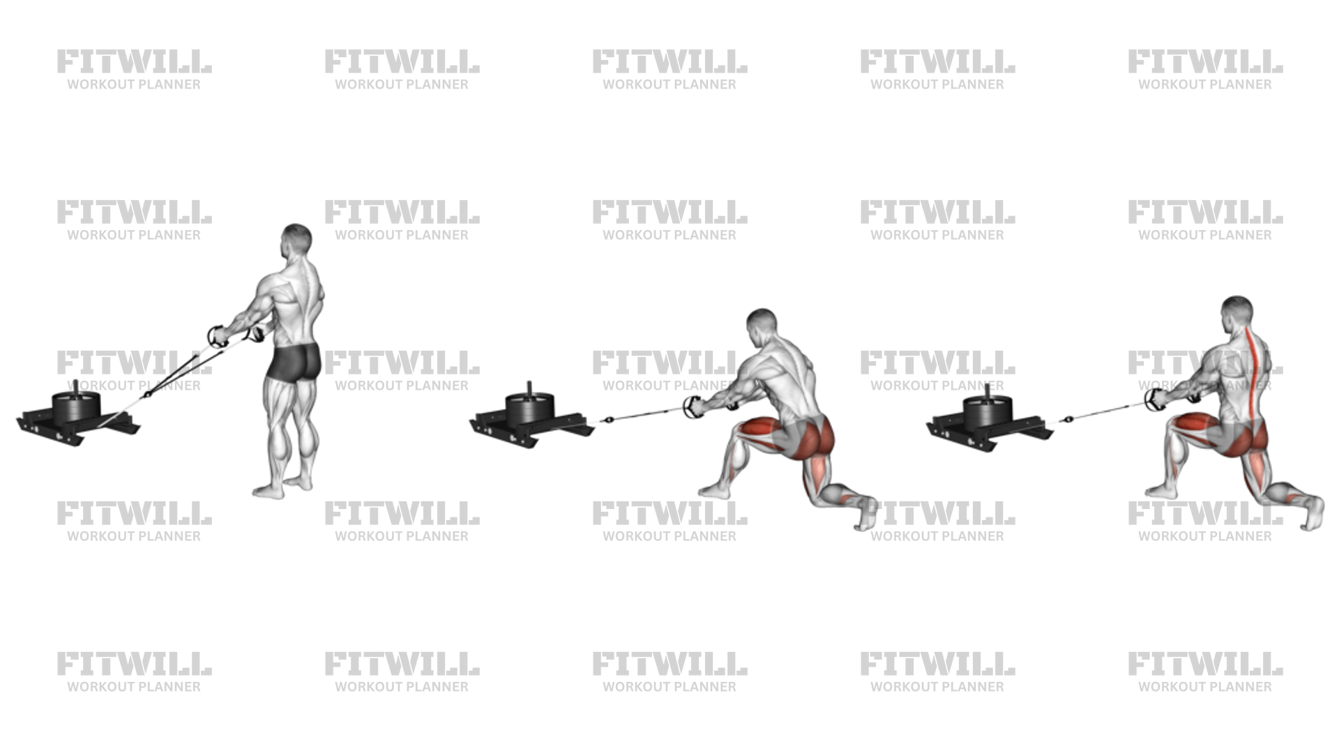 Power Sled Rear Lunge: Exercise Guide, Techniques, Benefits, How to ...