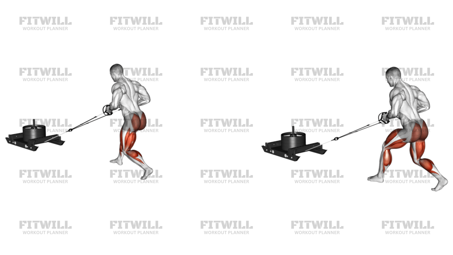 Power Sled Rear Batwing: Exercise Guide, Techniques, Benefits, How to ...