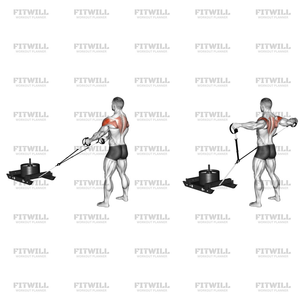 Power Sled Rear Fly: Exercise Guide, Techniques, Benefits, How to ...
