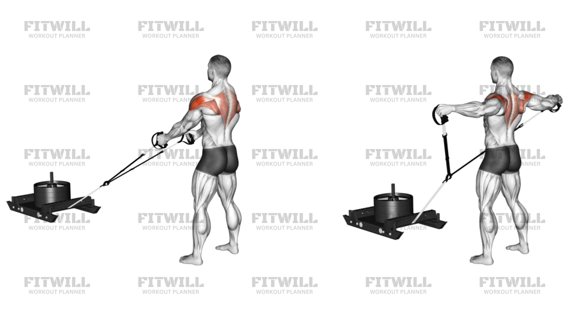 Power Sled Rear Fly: Exercise Guide, Techniques, Benefits, How to ...