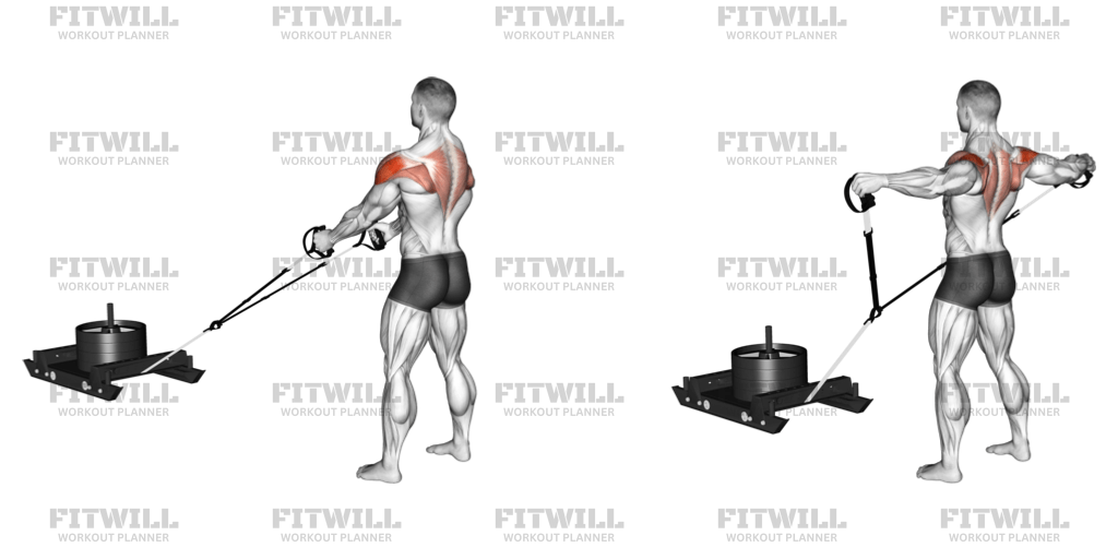 Power Sled Rear Fly: Exercise Guide, Techniques, Benefits, How to ...