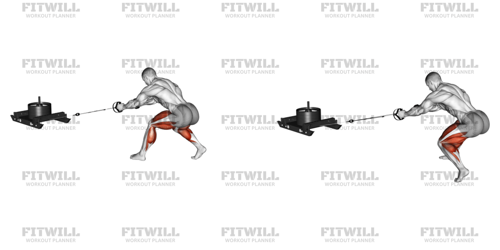 Power Sled Rear Drag: Exercise Guide, Techniques, Benefits, How to ...