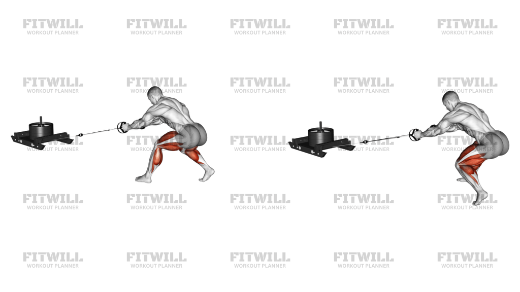 Power Sled Rear Drag: Exercise Guide, Techniques, Benefits, How to ...