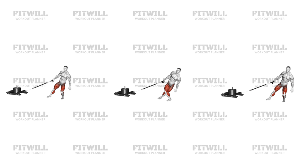 Power Sled Anti-Rotation Forward Walk: Exercise Guide, Techniques ...