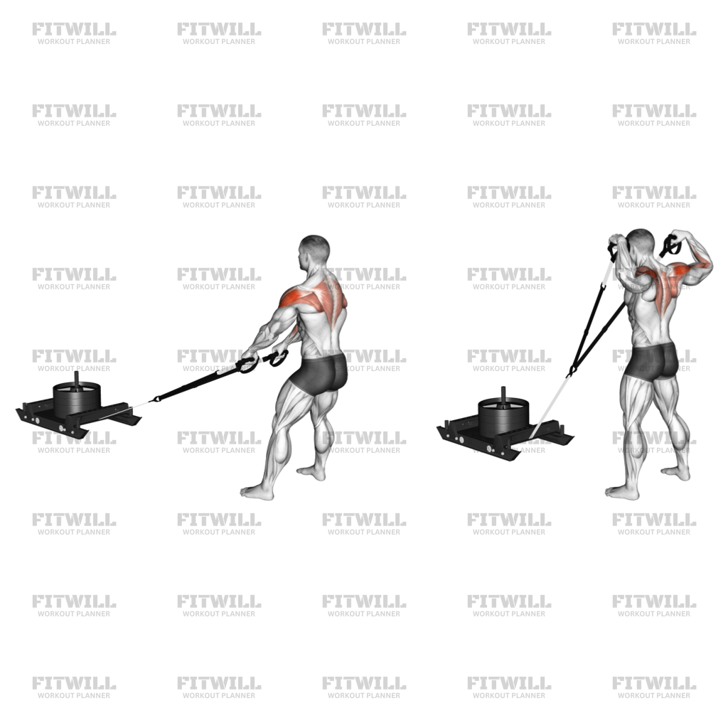 Power Sled High Pull: Exercise Guide, Techniques, Benefits, How to ...