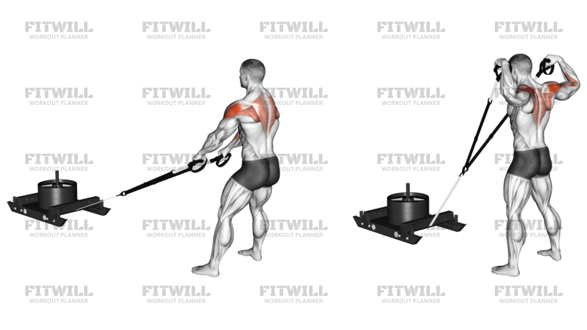 Power Sled High Pull: Exercise Guide, Techniques, Benefits, How to ...
