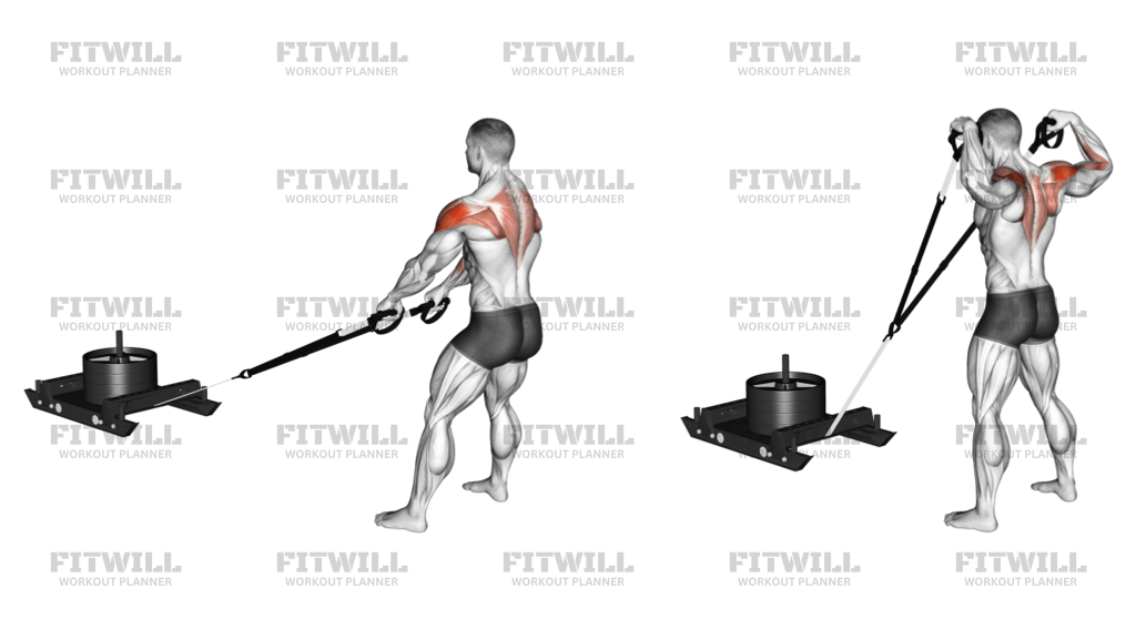 Power Sled High Pull: Exercise Guide, Techniques, Benefits, How to ...
