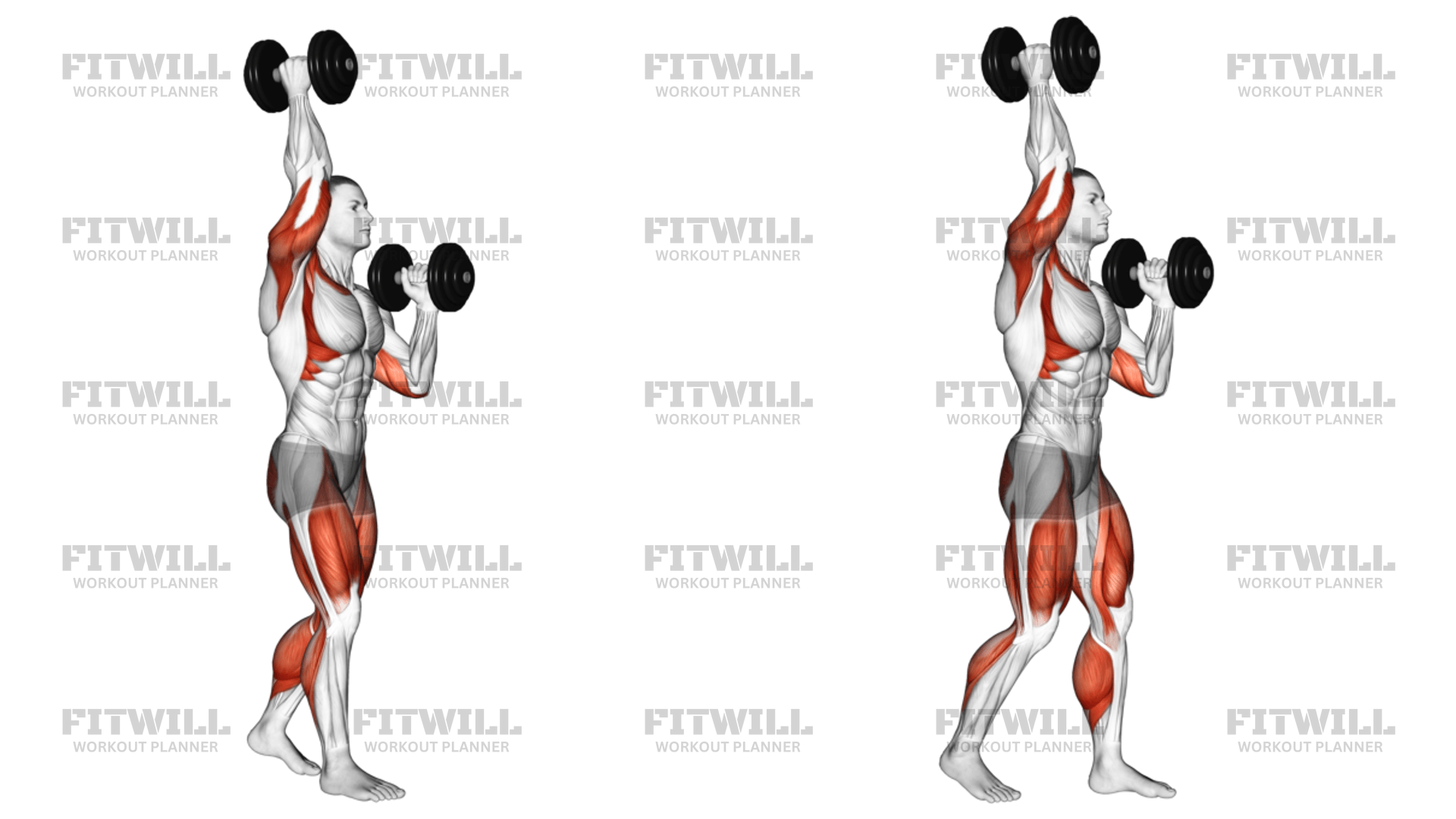Dumbbell High Low Carry: Exercise Guide, Techniques, Benefits, How to ...