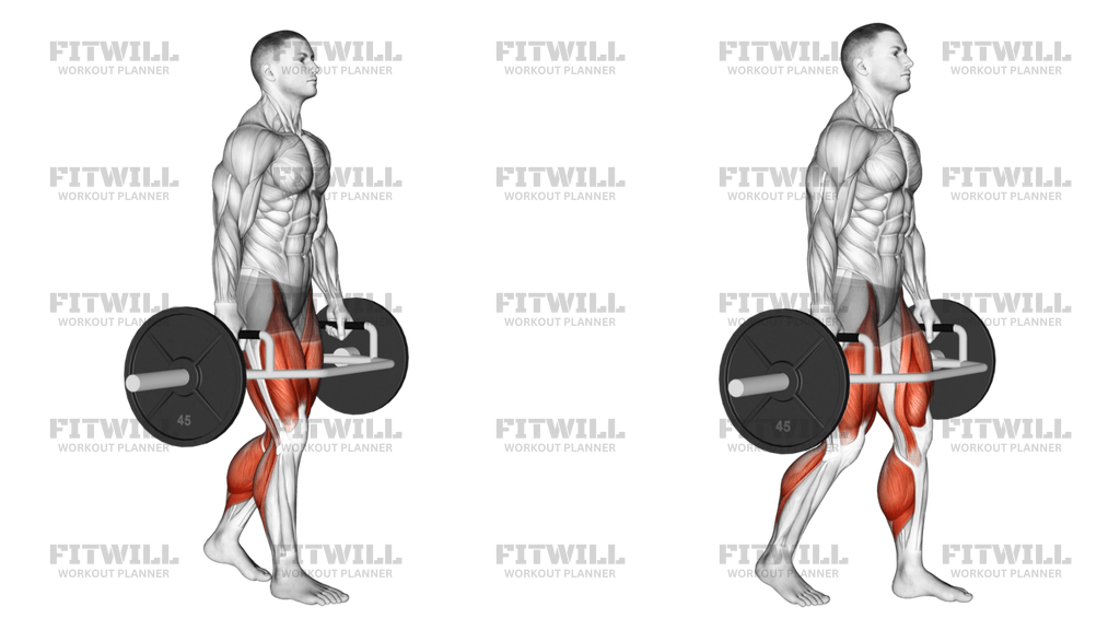 Trap Bar Farmers Carry: Exercise Guide, Video, Techniques, Benefits ...