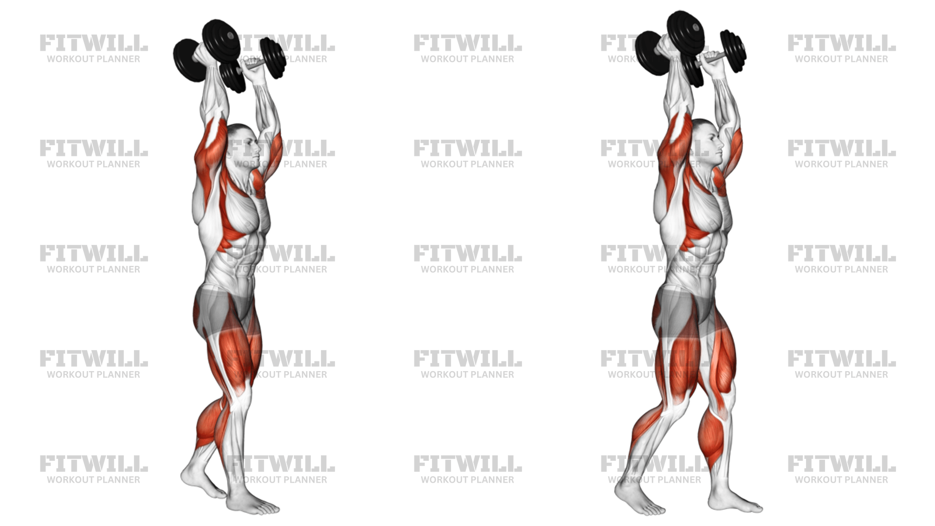 Dumbbell Overhead Carry: Exercise Guide, Techniques, Benefits, How to ...