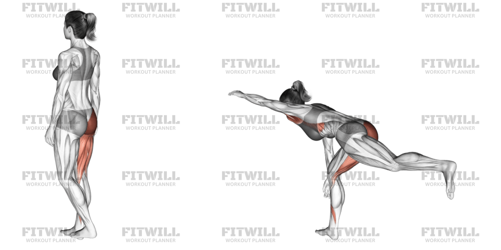 Single Leg Bodyweight Deadlift With Arm And Leg Extended: Exercise ...