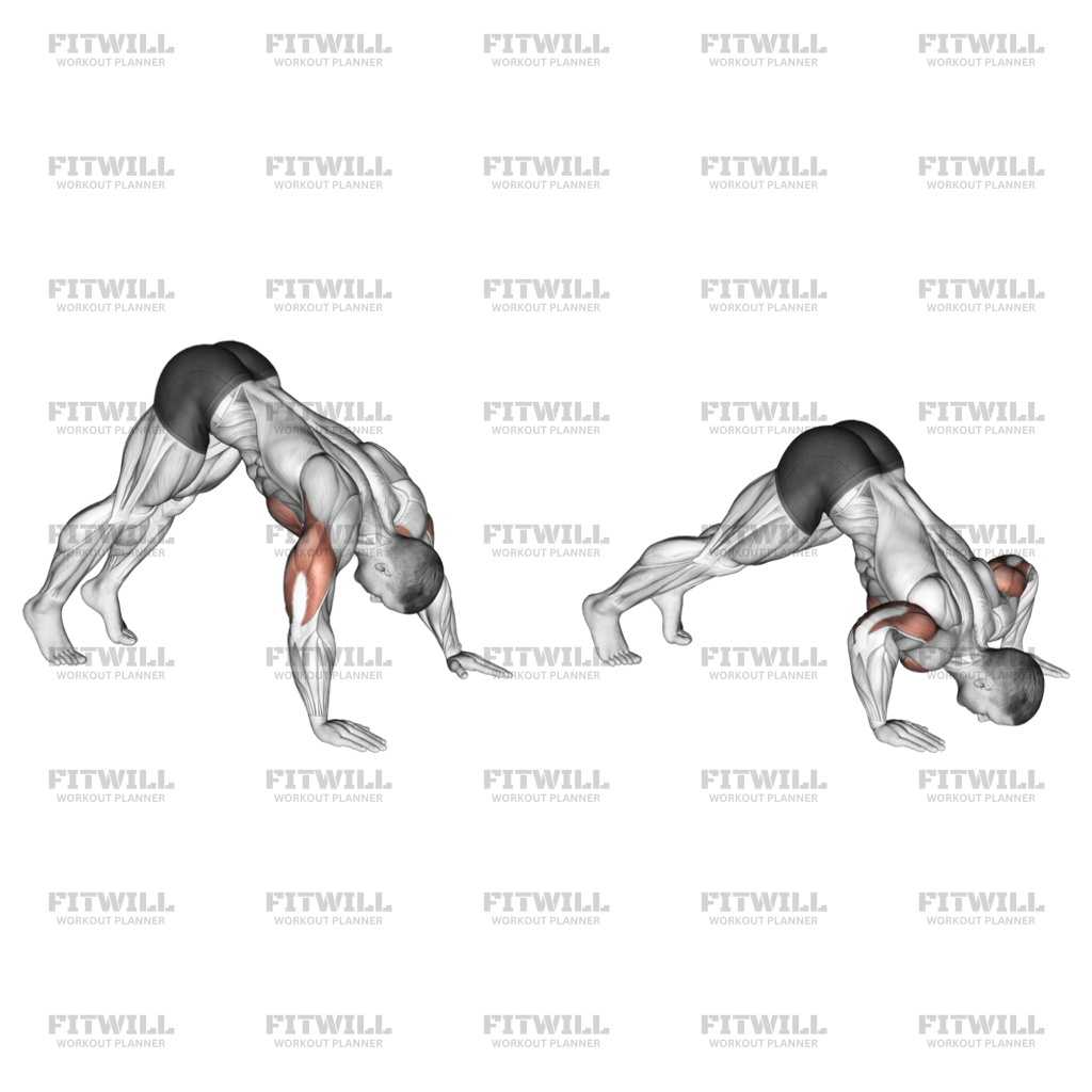 Pike Push-up: Exercise Guide, Video, Techniques, Benefits, How to ...