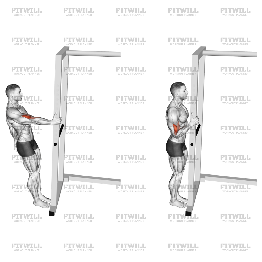 Bodyweight Standing Biceps Curl: Exercise Guide, Techniques, Benefits ...