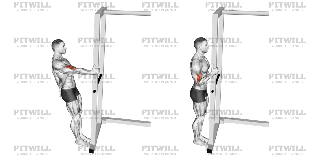 Bodyweight Standing Biceps Curl: Exercise Guide, Techniques, Benefits ...