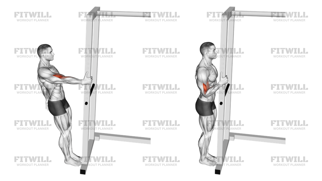 Bodyweight Standing Biceps Curl: Guide, Techniques, Benefits, How to ...