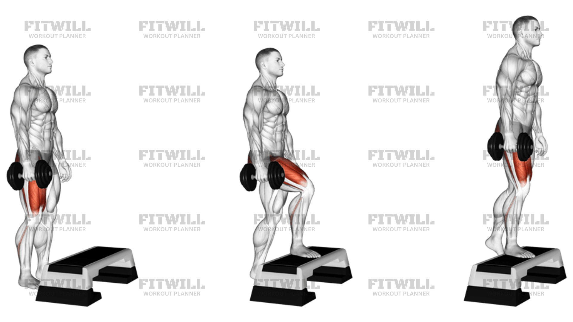 Step-up Unilateral Com Halteres: Guia de Exercício, Vídeo, Técnicas ...