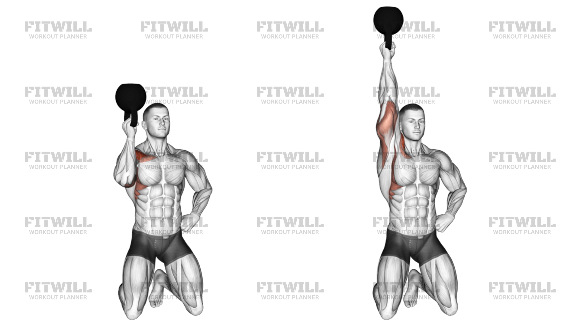 Kettlebell Kneeling One Arm Bottoms Up Press: Exercise Guide, Video, Techniques, Benefits, How ...