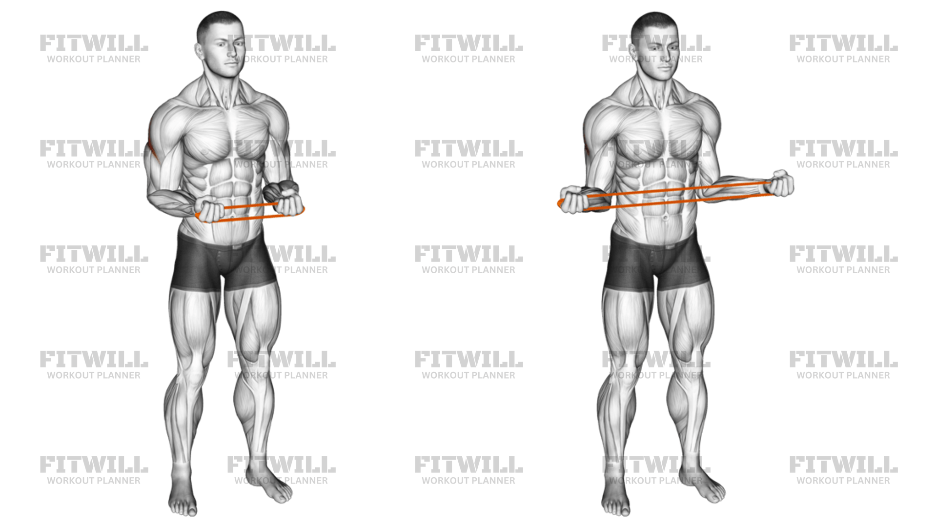 Resistance Band Pullapart (Supination At 90 Degrees): Exercise Guide ...