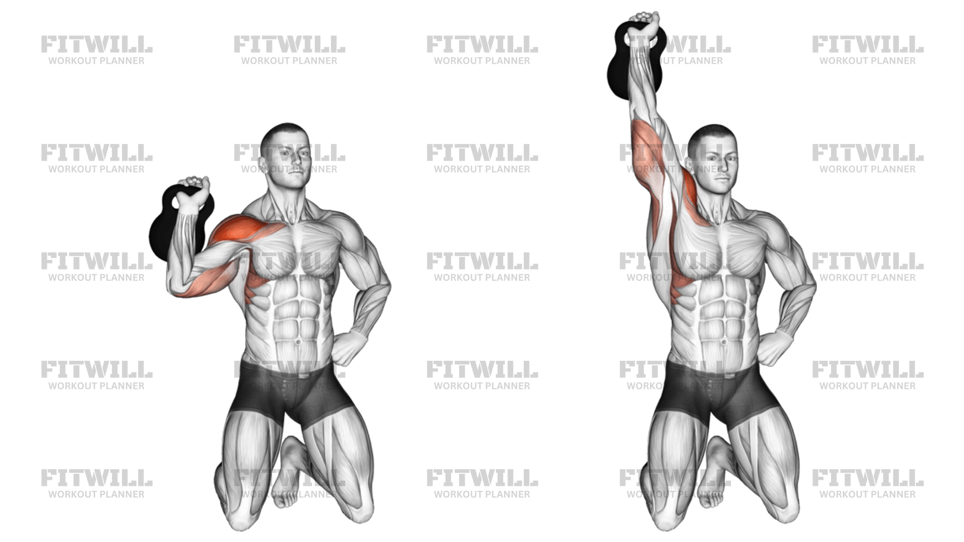Kettlebell Kneeling One Arm Shoulder Press: Exercise Guide, Techniques, Benefits, How to ...