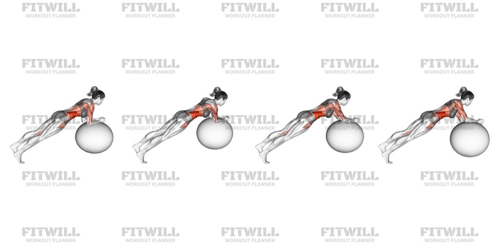 Stability Ball Rounded Rollout: Exercise Guide, Video, Techniques ...