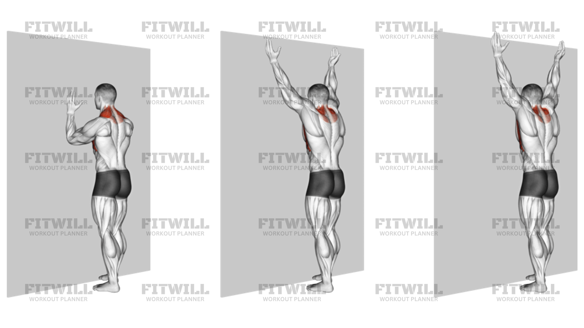 Forearm Wall Slide: Exercise Guide, Techniques, Benefits, How to ...