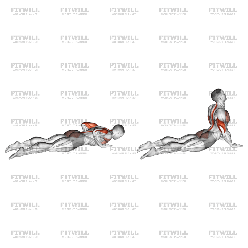 Seal Push Up: Exercise Guide, Video, Techniques, Benefits, How to ...