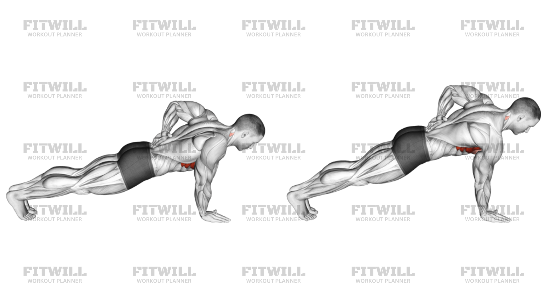 Single Arm Scapula Push Up: Exercise Guide, Techniques, Benefits, How ...