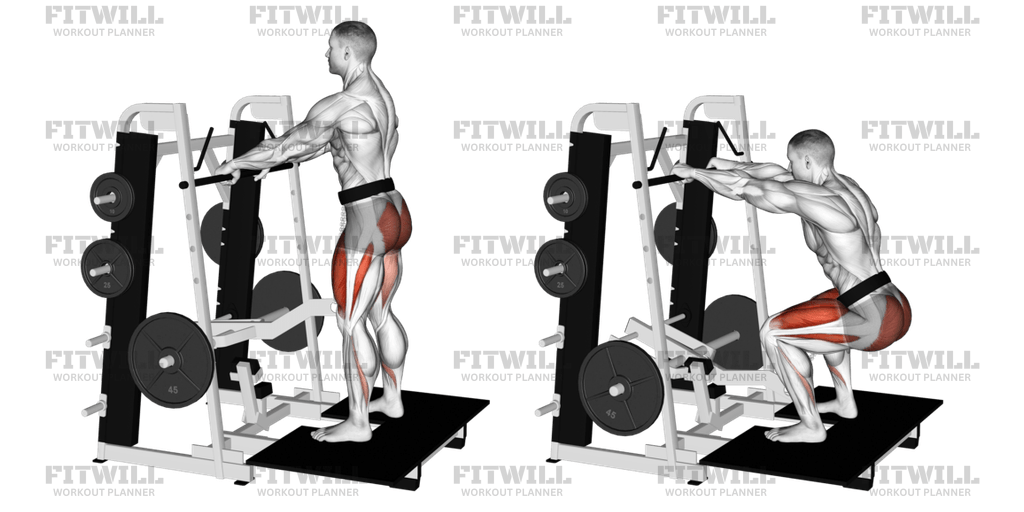 Lever Belt Squat: Exercise Guide, Video, Techniques, Benefits, How to ...