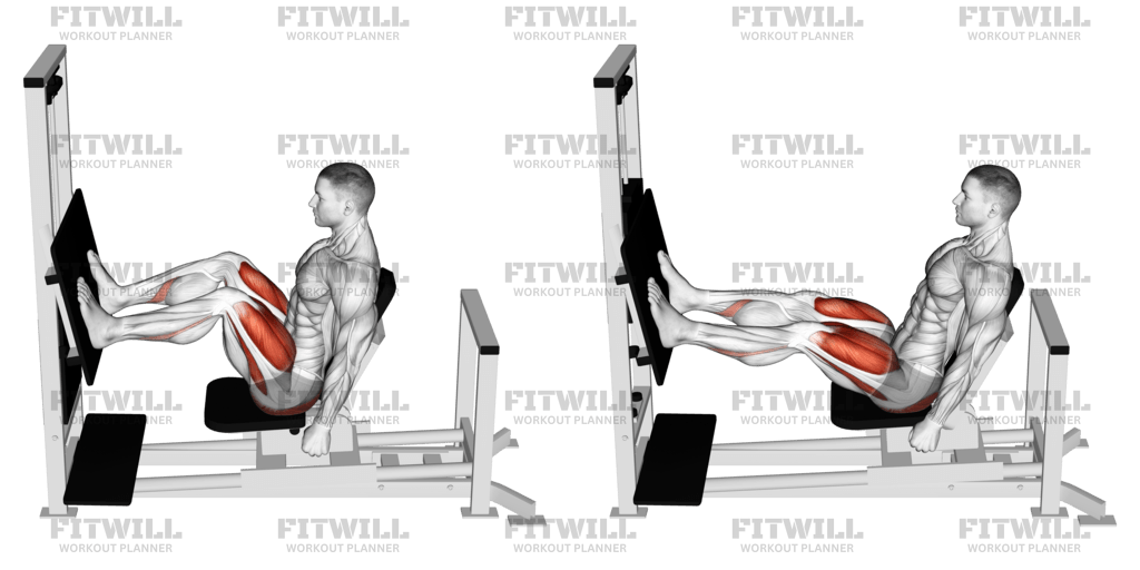 Lever Horizontal Leg Press: Exercise Guide, Video, Techniques, Benefits ...
