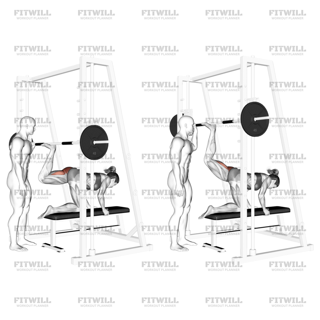 Smith Kneeling Rear Kick (with Partner): Exercise Guide, Techniques ...