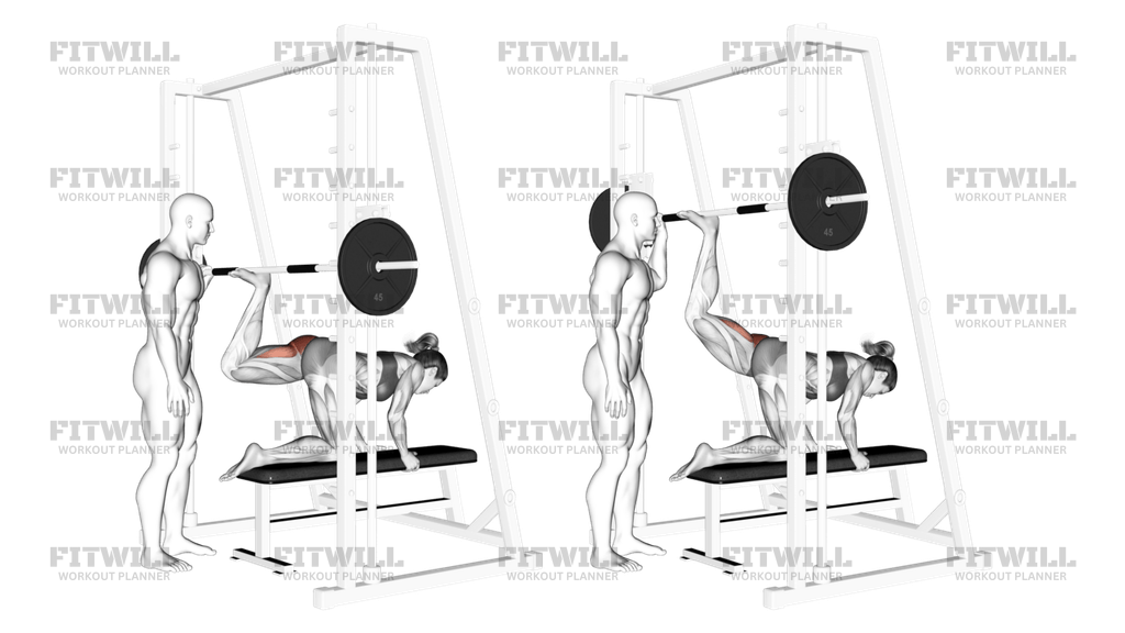 Smith Kneeling Rear Kick (with Partner): Exercise Guide, Techniques ...