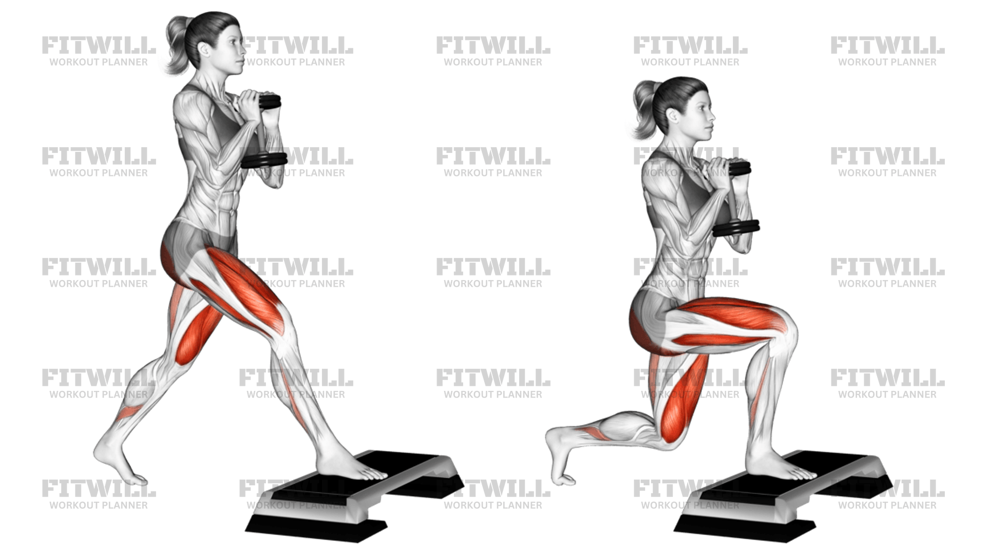 Afundo Búlgaro Com Halter E Pé Dianteiro Elevado: Guia de Exercício ...