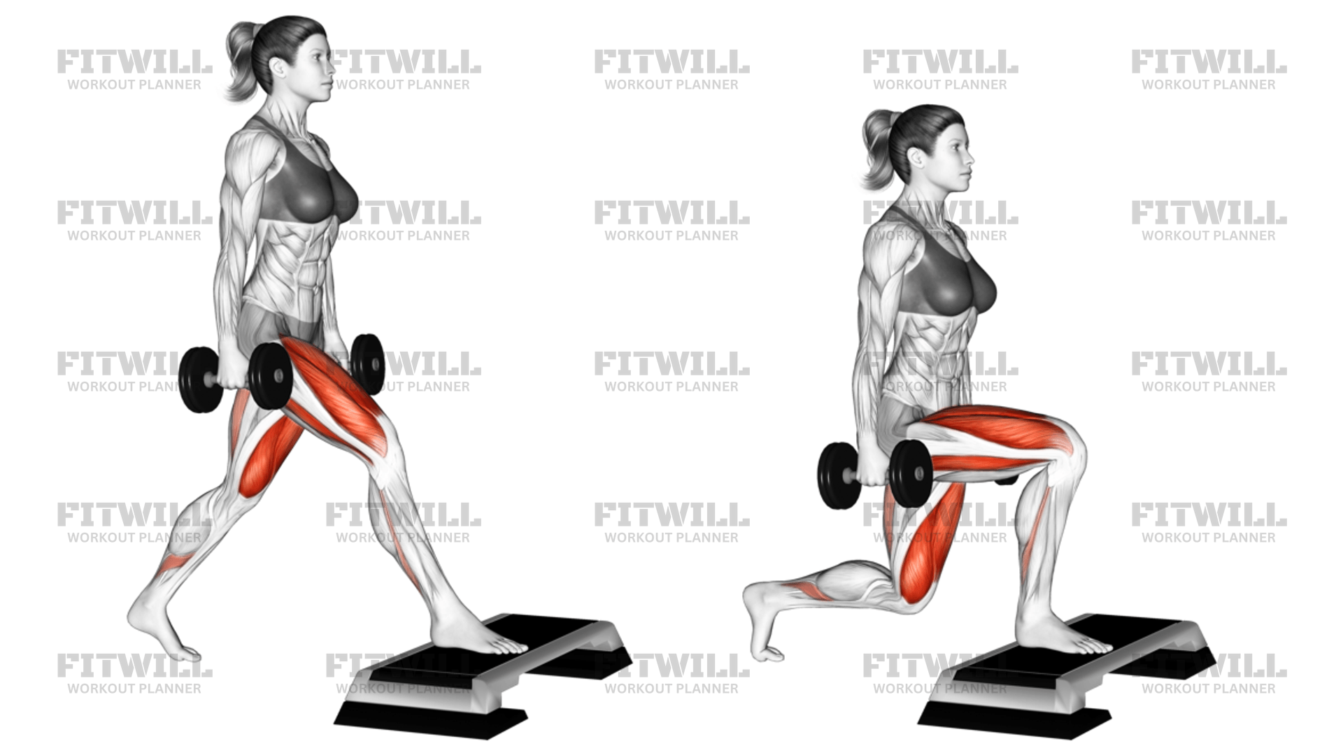 Sentadilla Búlgara Con Mancuernas Y Pie Delantero Elevado: Guía de Ejercicios, Video, Técnicas ...