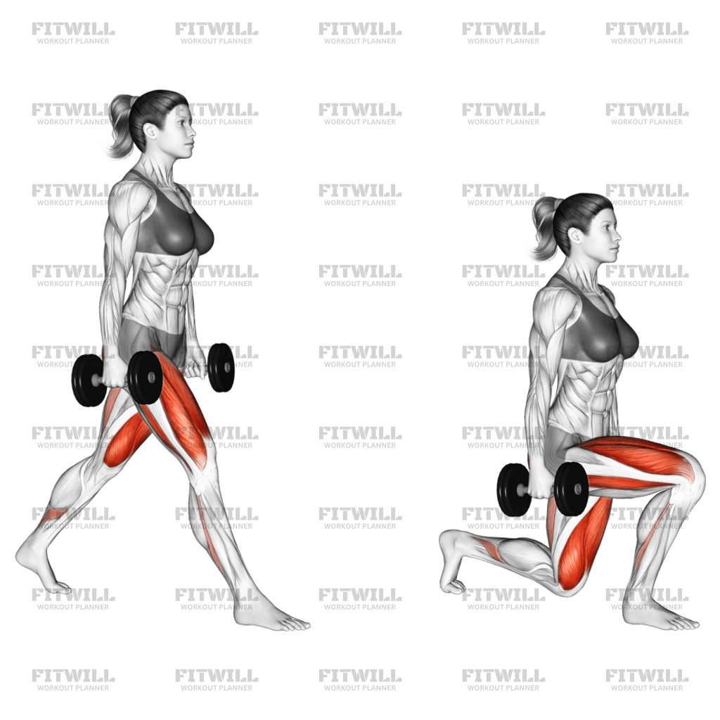 Afundo Com Halteres: Guia de Exercícios, Vídeo, Técnicas, Benefícios ...