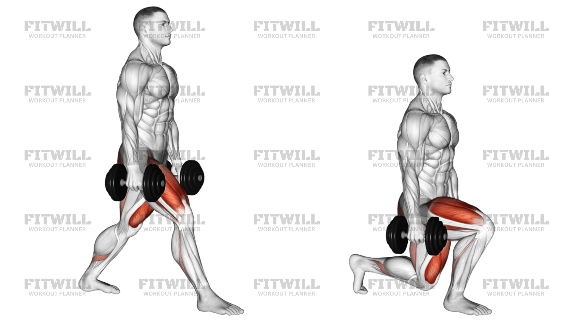 Dumbbell Split Squat: Exercise Guide, Video, Techniques, Benefits, How ...