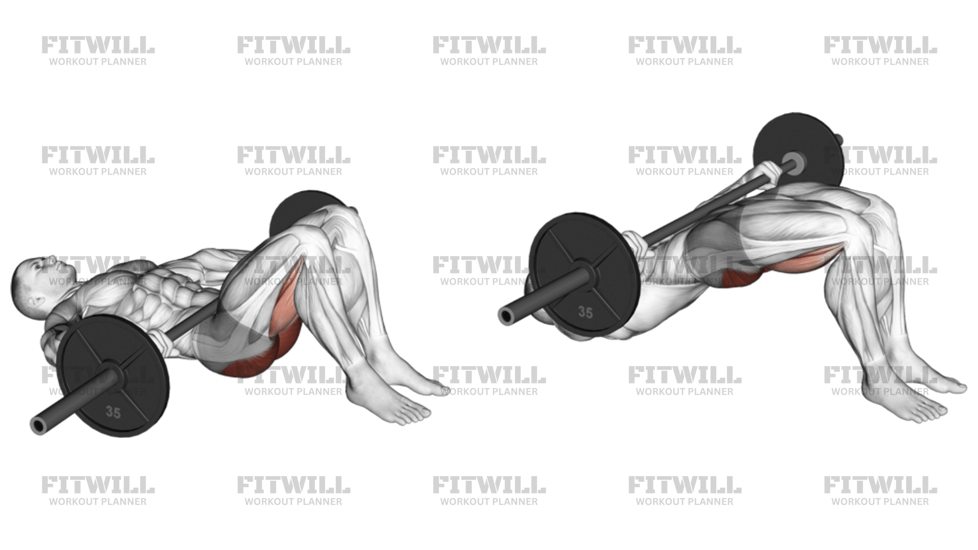 Barbell Glute Bridge (hands On Bar): Exercise Guide, Video, Techniques ...