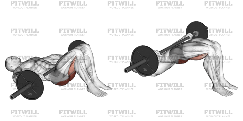 Barbell Glute Bridge (hands On Bar): Exercise Guide, Video, Techniques ...