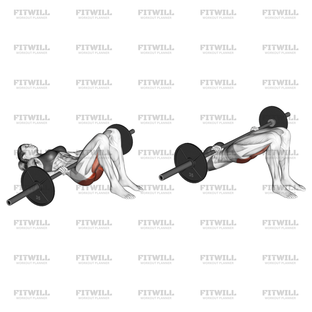 Barbell Glute Bridge (hands On Bar): Exercise Guide, Video, Techniques ...