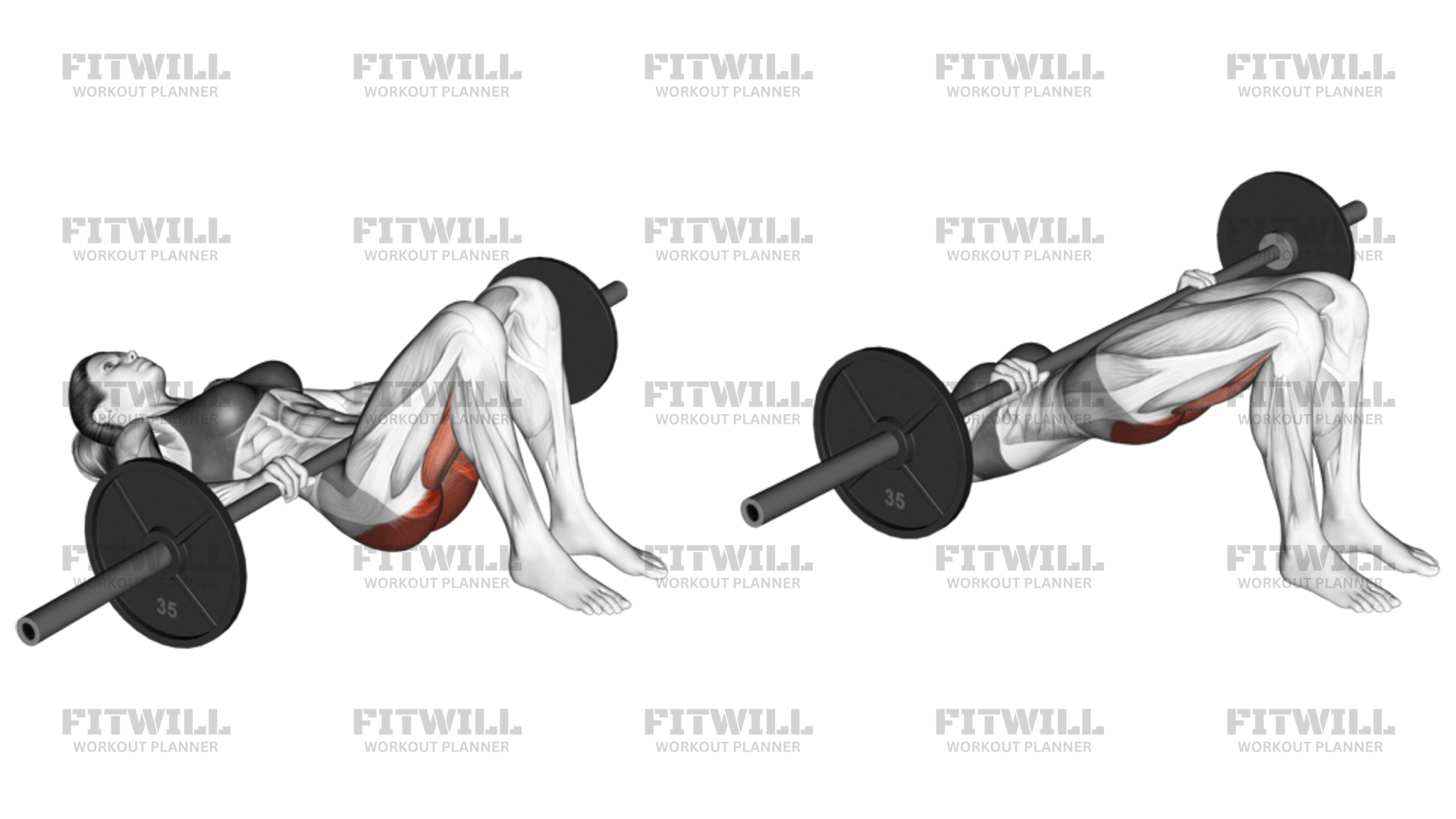 Barbell Glute Bridge (hands On Bar): Exercise Guide, Video, Techniques ...