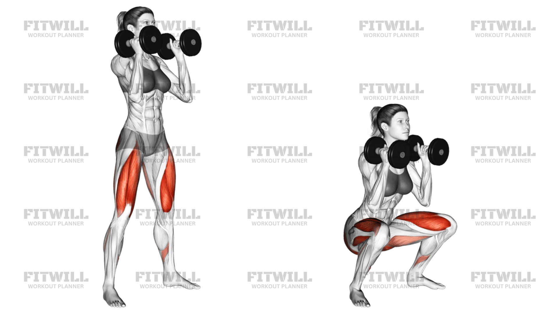 Dumbbell Front Squat: Exercise Guide, Video, Techniques, Benefits, How ...