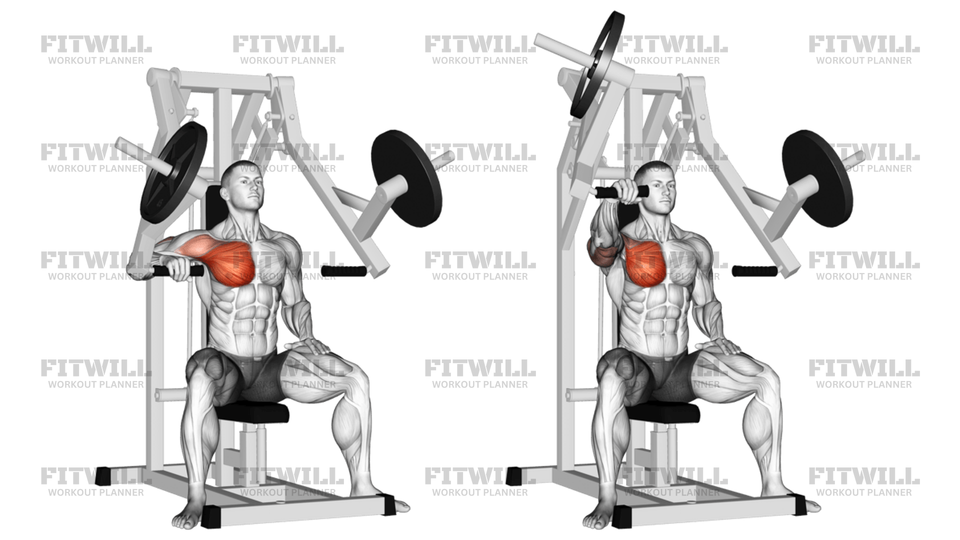 Lever One Arm Chest Press (plate Loaded): Exercise Guide, Techniques ...