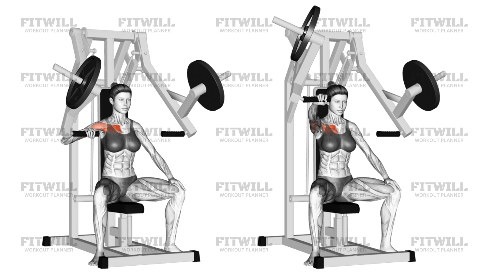 Lever One Arm Chest Press (plate Loaded): Exercise Guide, Techniques ...