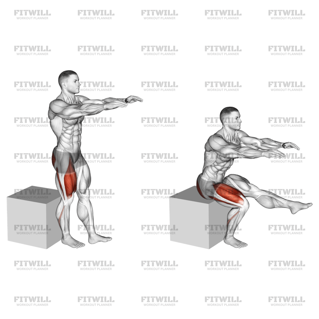 Pistol Squat To Box: Exercise Guide, Video, Techniques, Benefits, How ...
